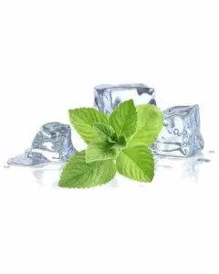 DIY Vape Juice & Supplies | Menthol & Mint Flavoring